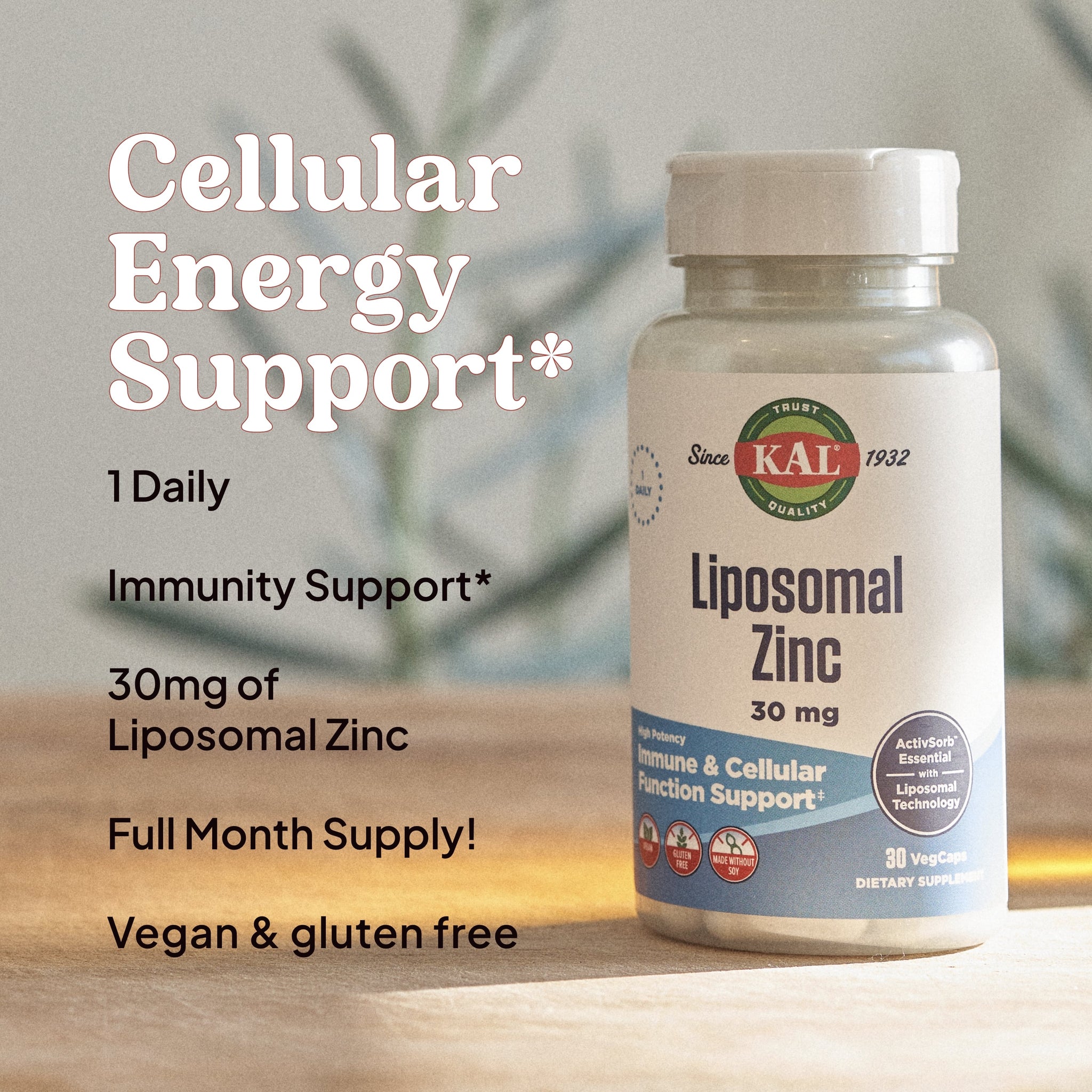 Liposomal Zinc – Kal Vitamins