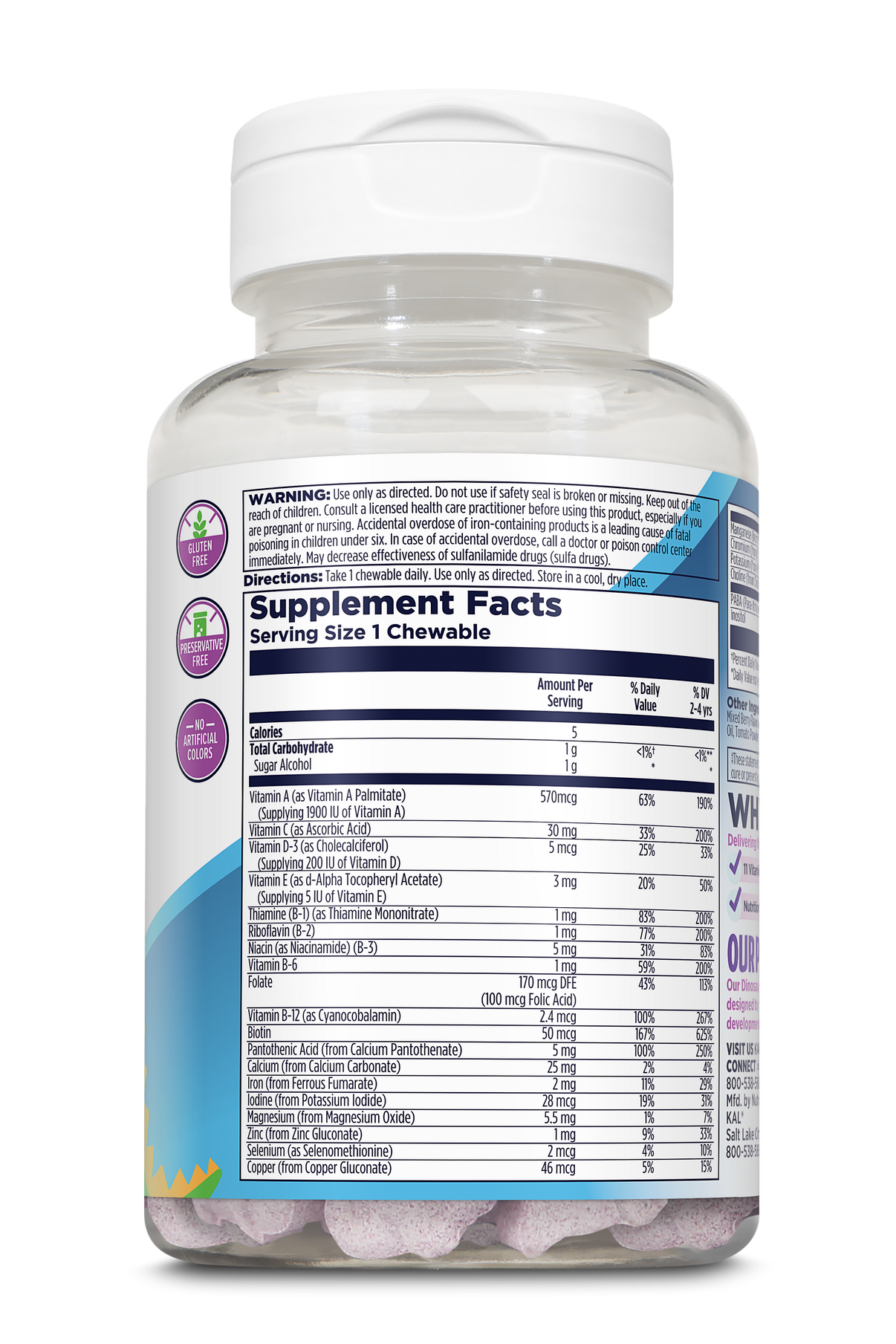 MultiSaurus® Kids Multivitamin Mixed Berry – Kal Vitamins